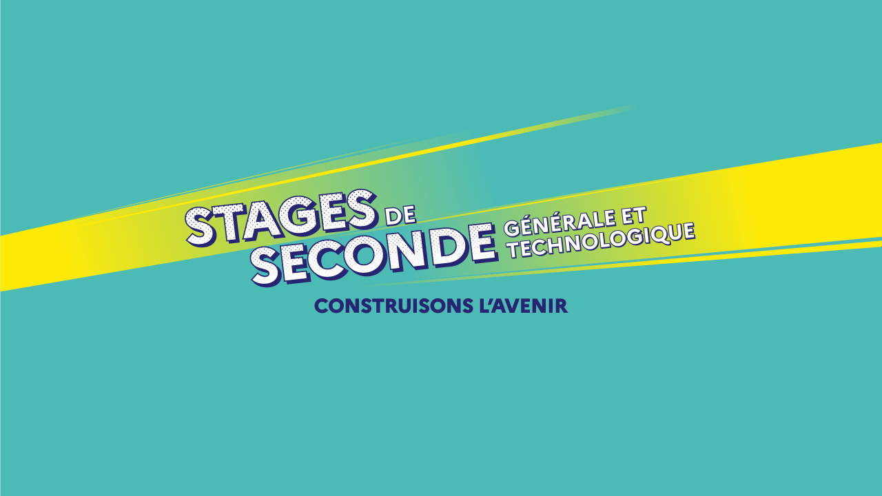 Stage de seconde GT : la plateforme 1 élève, 1 stage | Académie de Lyon